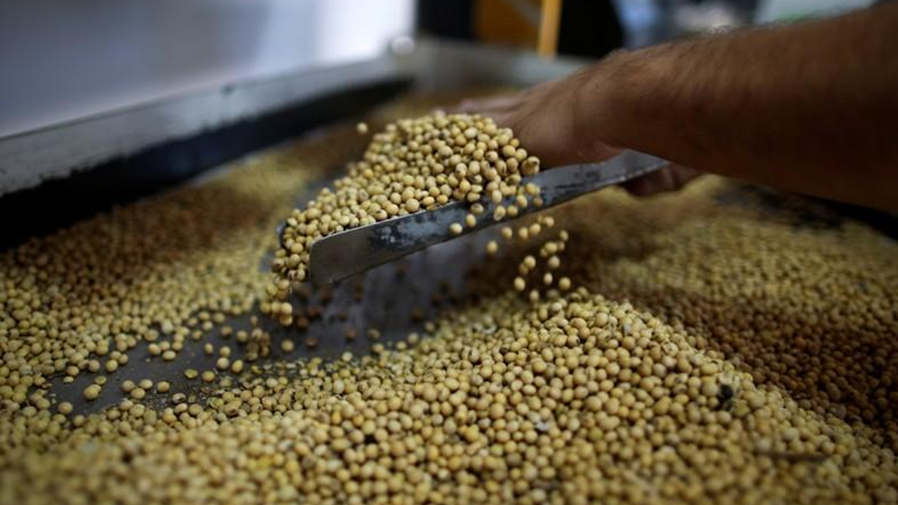 Anec faz leve redução na previsão de embarques de soja do Brasil em ...