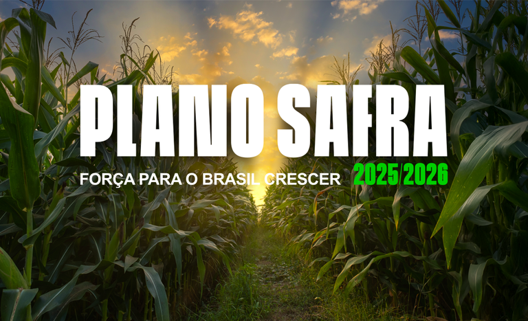 Famato avalia que Plano Safra 25/26 ainda não ameniza dificuldades no ...