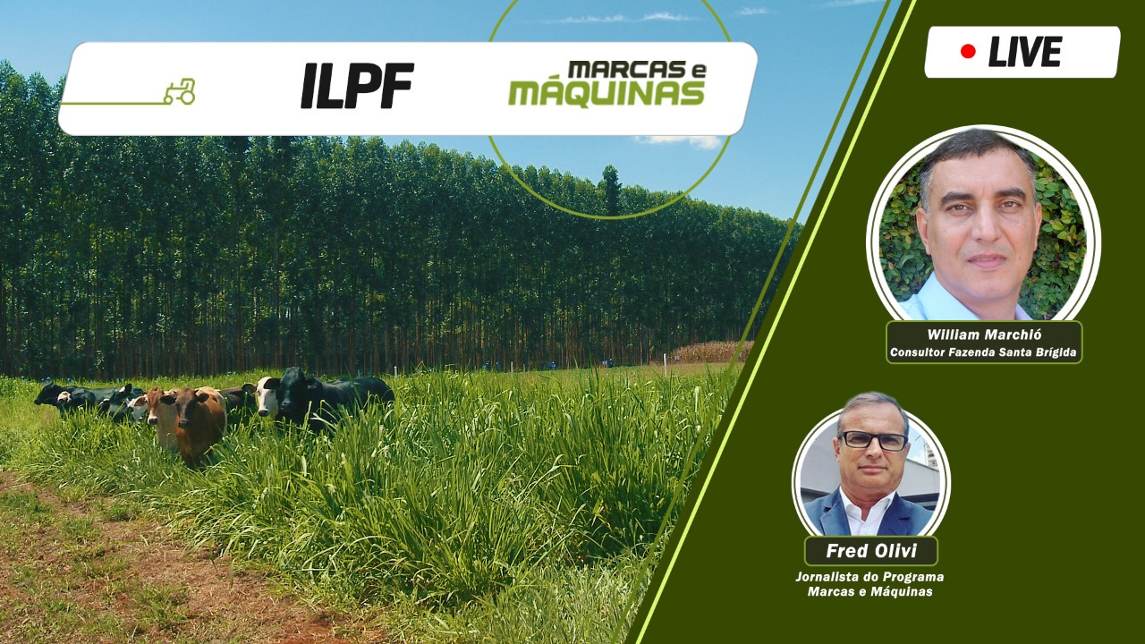 Sistema iLPF apresenta resultados promissores tanto na produtividade ...