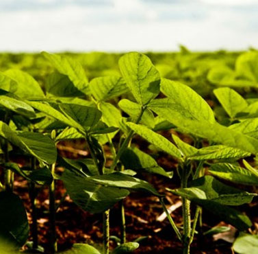 Conheça a inovadora tecnologia que vem mudando o cenário da proteção de ...