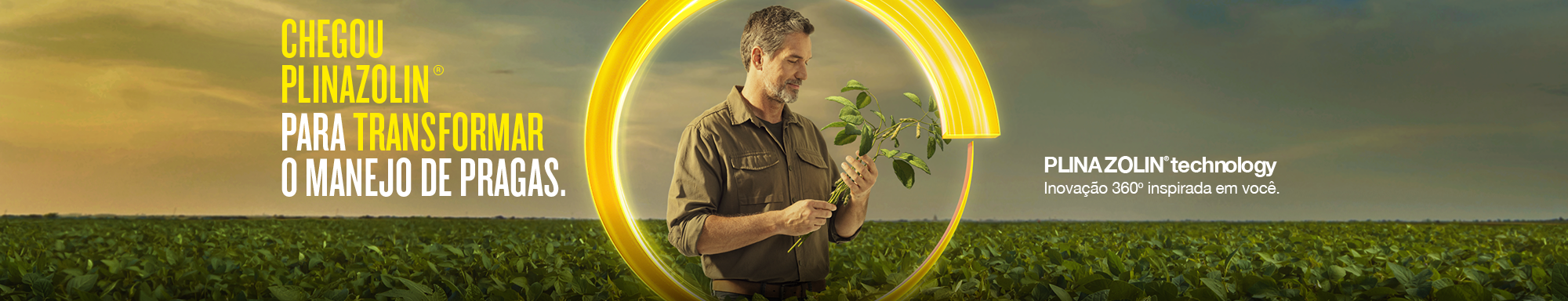 Syngenta confirma o registro de PLINAZOLIN® technology, molécula que ...