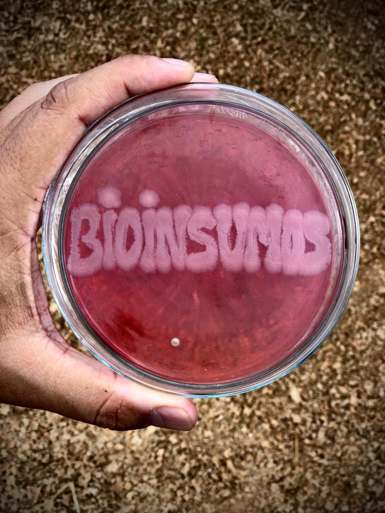 Brasil deve liderar mercado global de bioinsumos até 2030 - Notícias ...