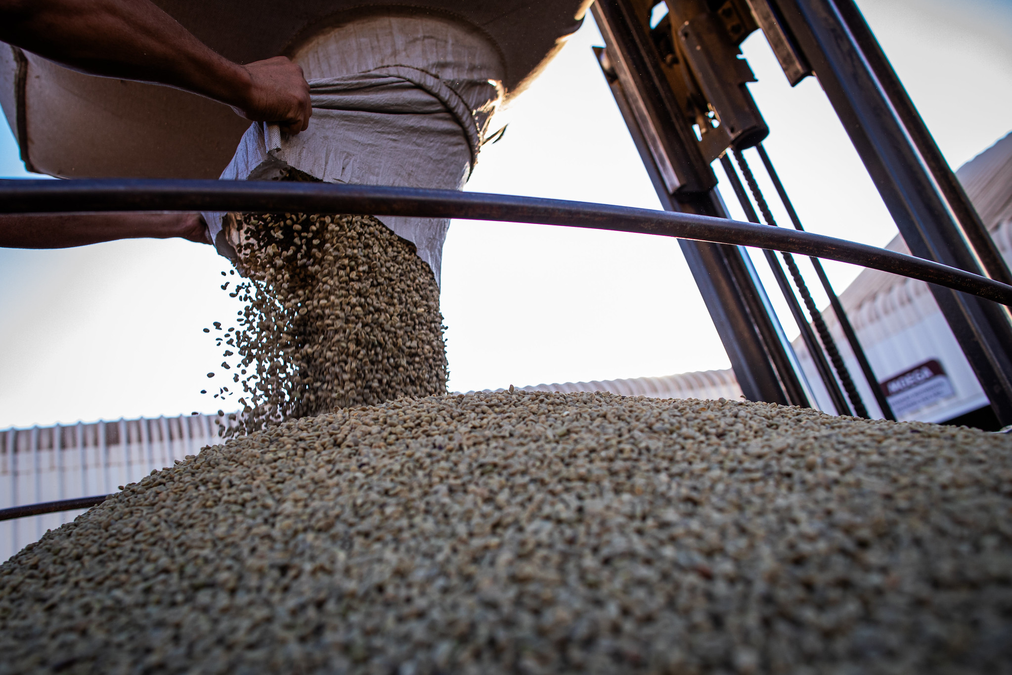 Exportações de café do Brasil em 2026/27 serão recordes, projeta ...