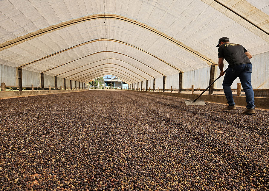 CNC rebate críticas sobre trabalho no campo e alerta para ...
