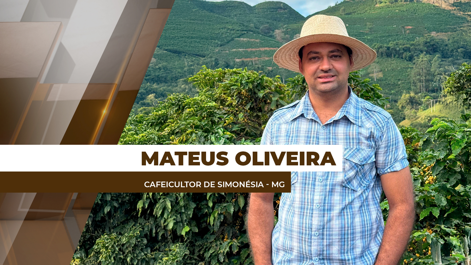 Colheita de café chega ao fim em Simonésia/MG, mas produtores já ...