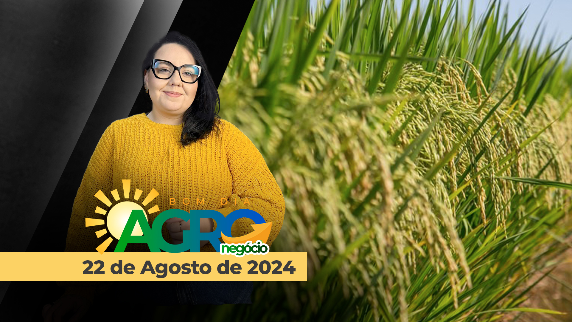 Bom dia Agro 22/08/24 - O que há de mais relevante na agricultura e no... - Notícias Agrícolas