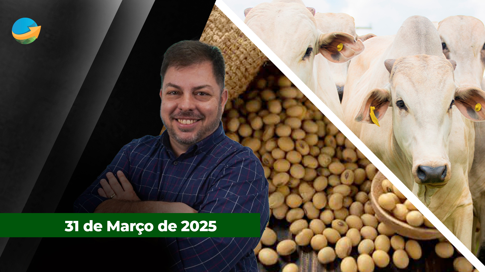 Mercado do boi segue firme mas com alerta para exportações e oferta de ...