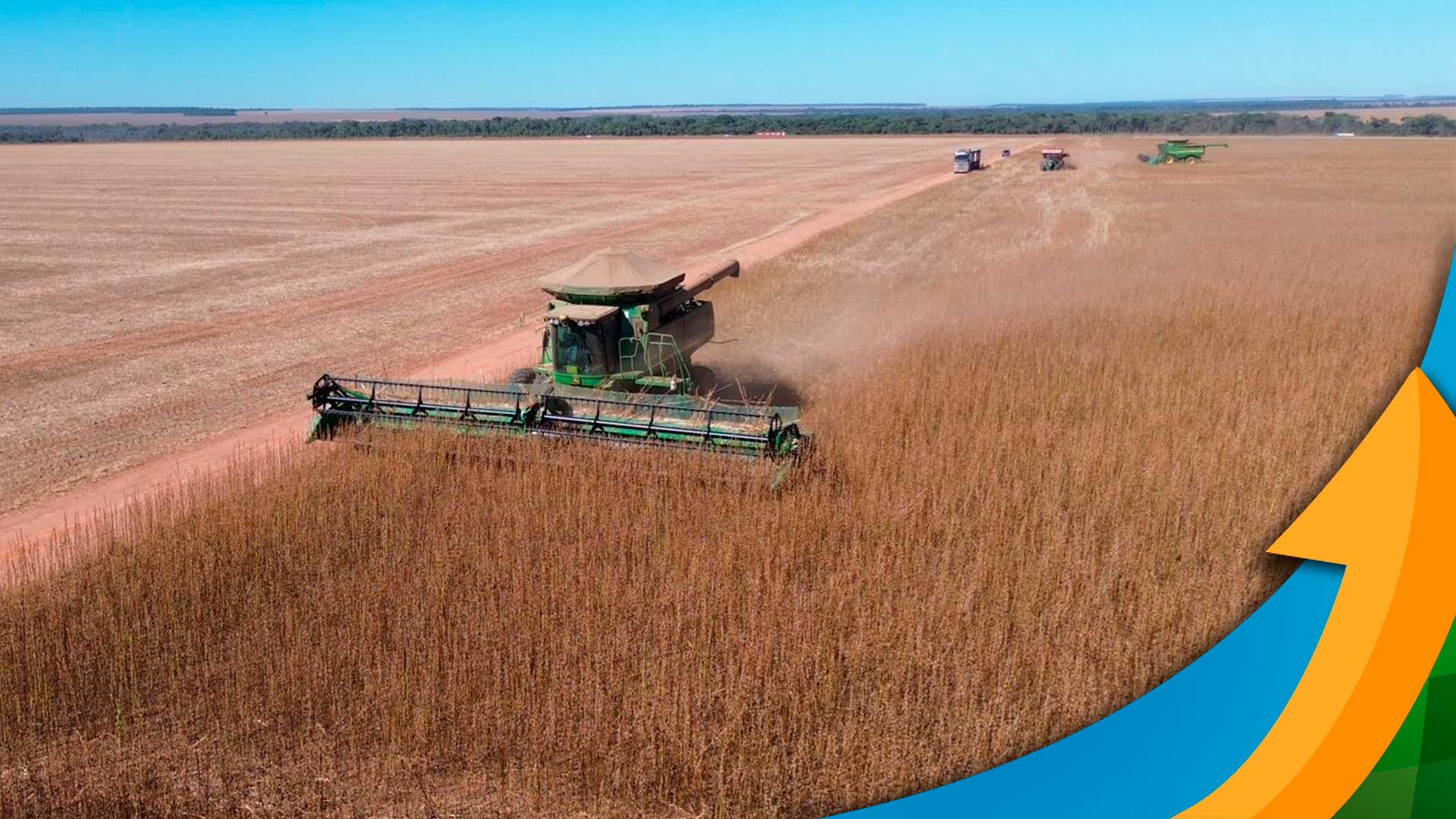 Colheita em Querência (MT) já terminou e quebra na produtividade é ...