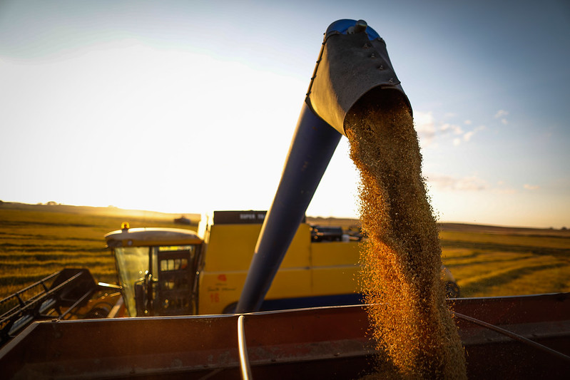 Soja: Ainda atrasada, colheita no Brasil alcança 3,39% da área, informa ...