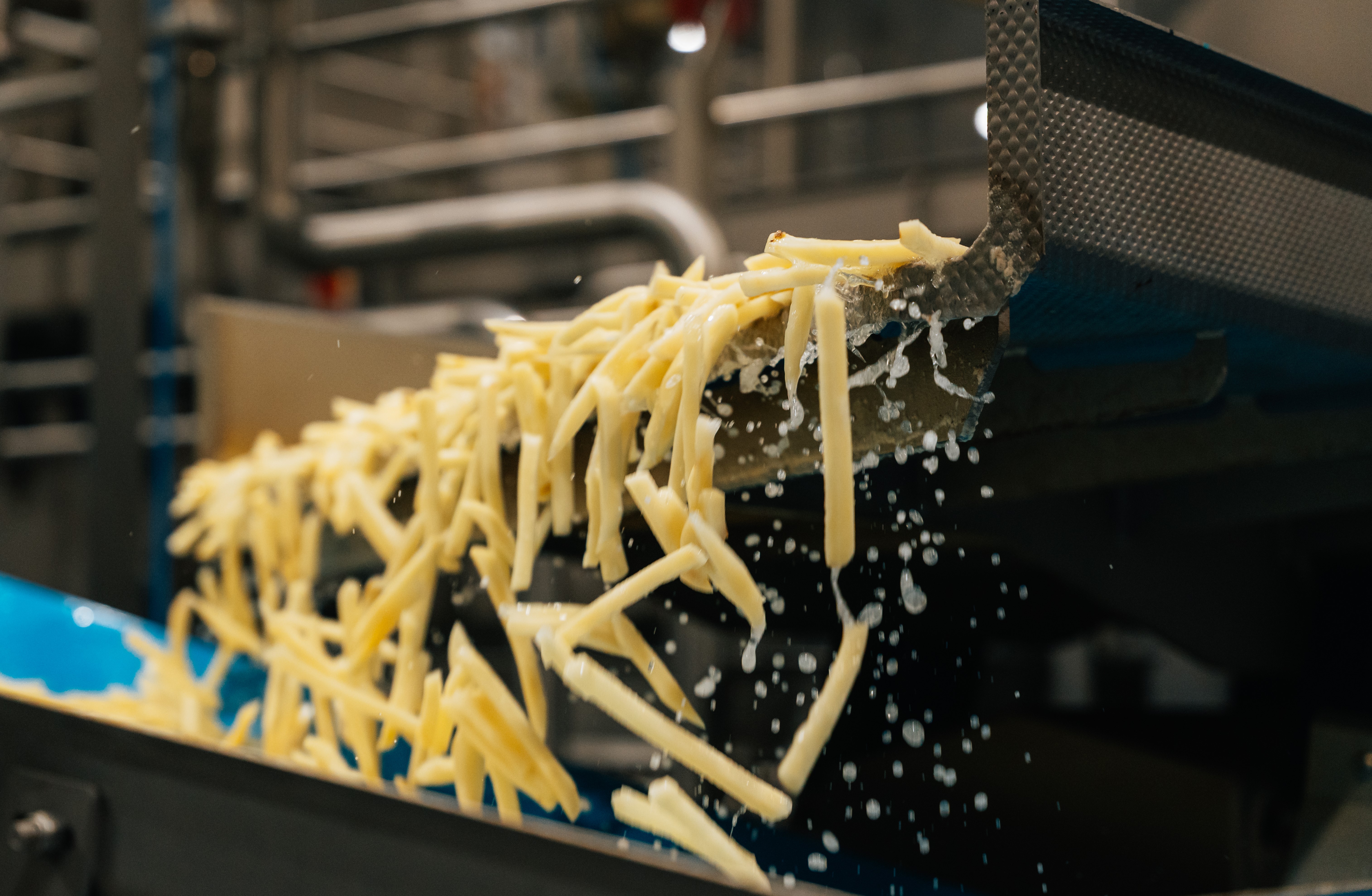 Nova fábrica de batatas congeladas é inaugurada na Argentina, mas com ...