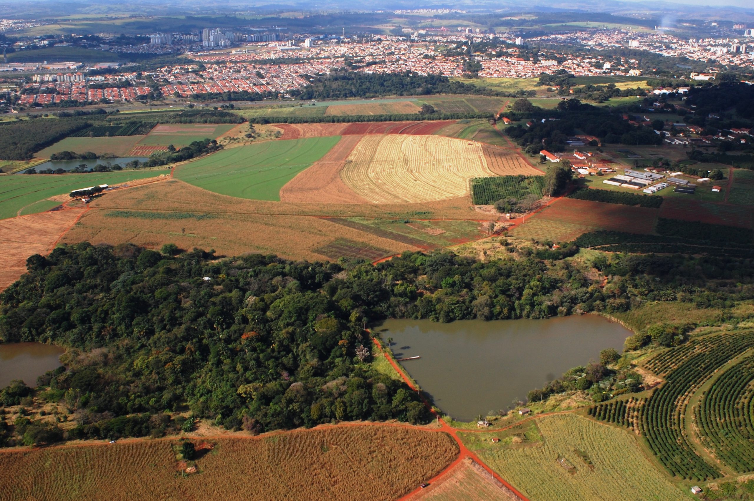 A importância da fazenda Santa Elisa para a agroecologia brasileira ...