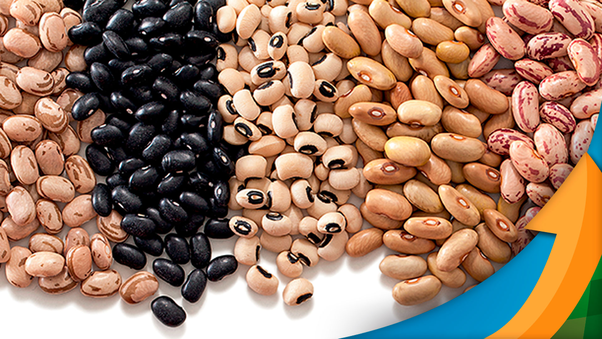 Feijão carioca sobe com menor oferta na segunda safra, mas preço ainda ...