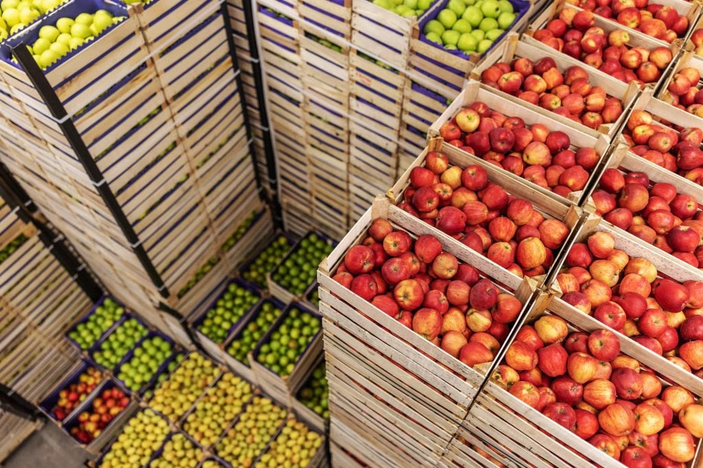 Volume de frutas exportadas do Brasil para a Europa cresce 19% em 2025 ...