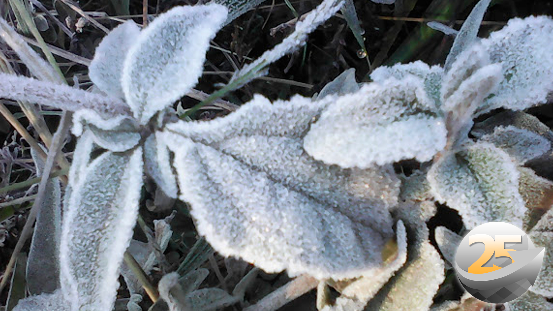 Frio será persistente, intenso e com potencial para formação de geada ...