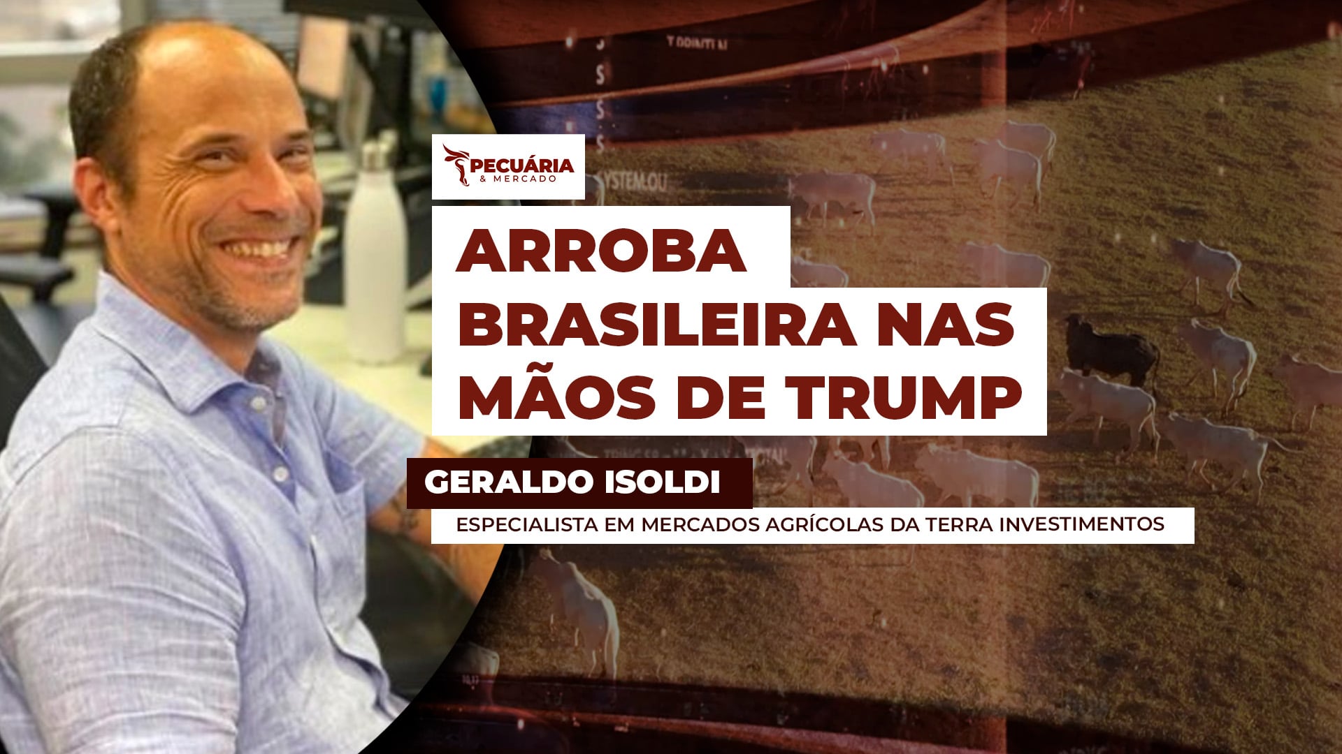 Cenário de pressão na arroba do boi pode reverter se Trump confirmar ...