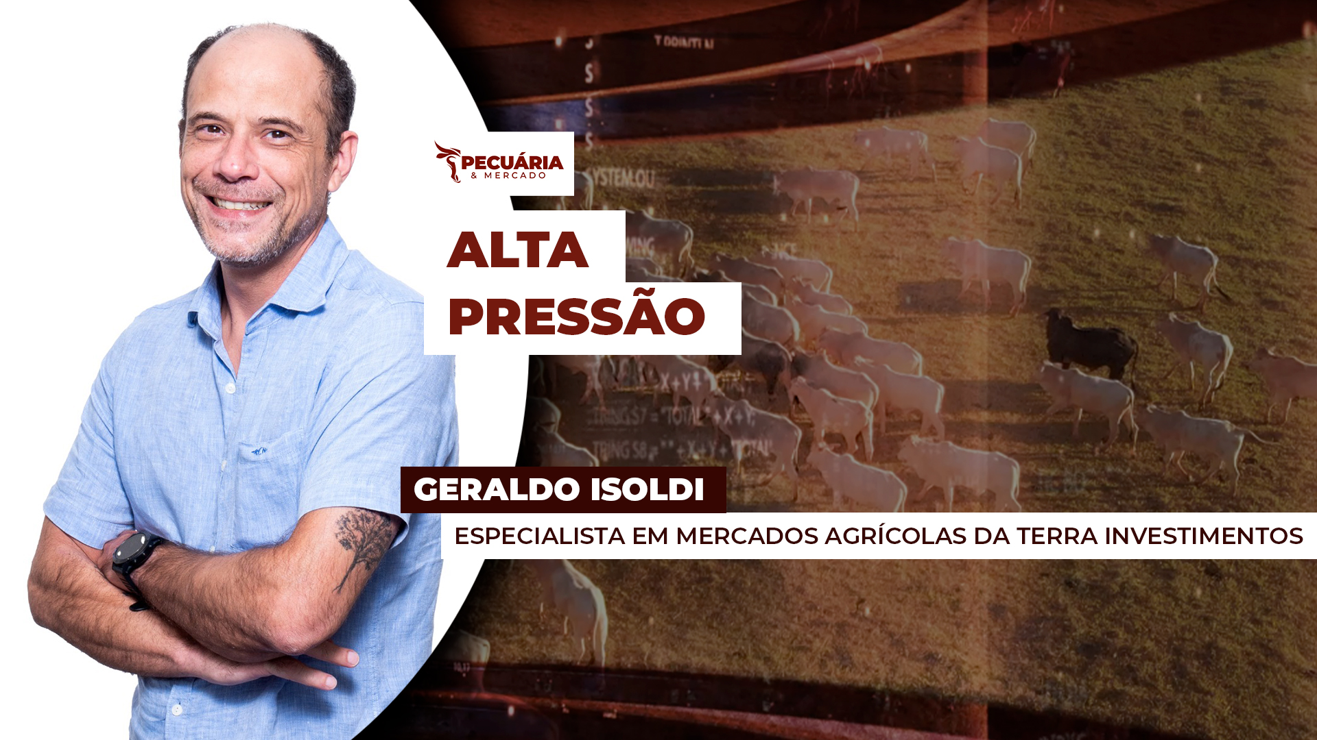 Arroba do boi gordo pode perder suporte dos R$300 com o aumento de oferta no... - Notícias Agrícolas