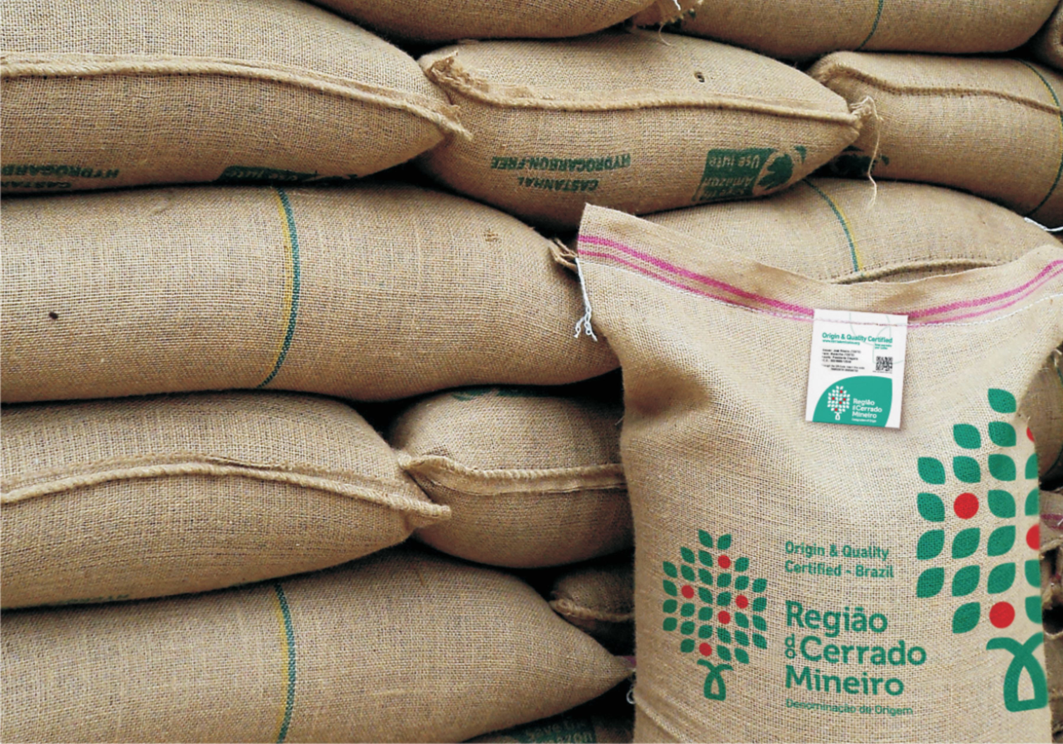 Safra dos Cafés do Brasil estimada para ano-cafeeiro de 2025 totaliza ...