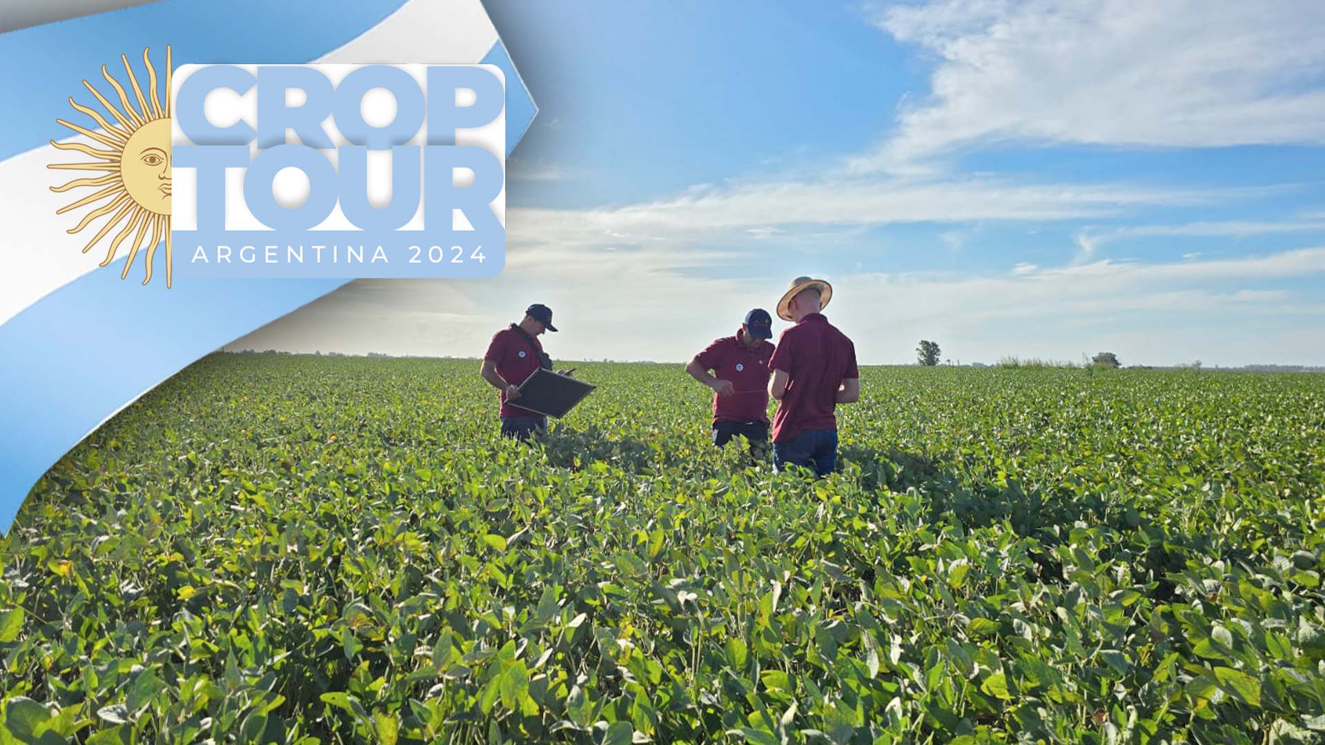 Dia 4: Crop Tour passa por novas áreas de Buenos Aires, Santa Fe e La ...