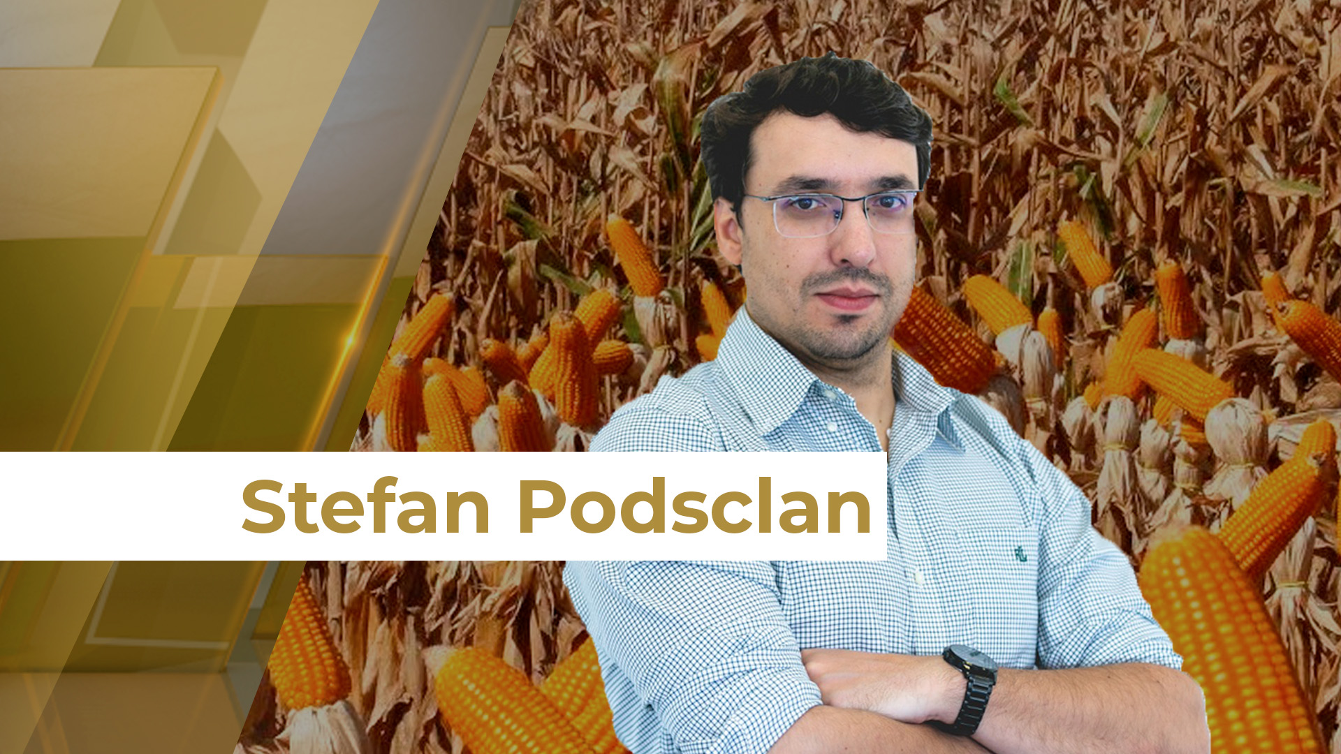 Valorização do dólar traz melhora para preços do milho e novas ...