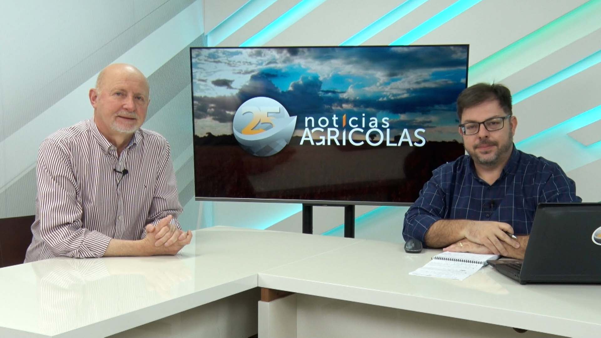 O Agro brasileiro ganha protagonismo e relevância na produção de ...