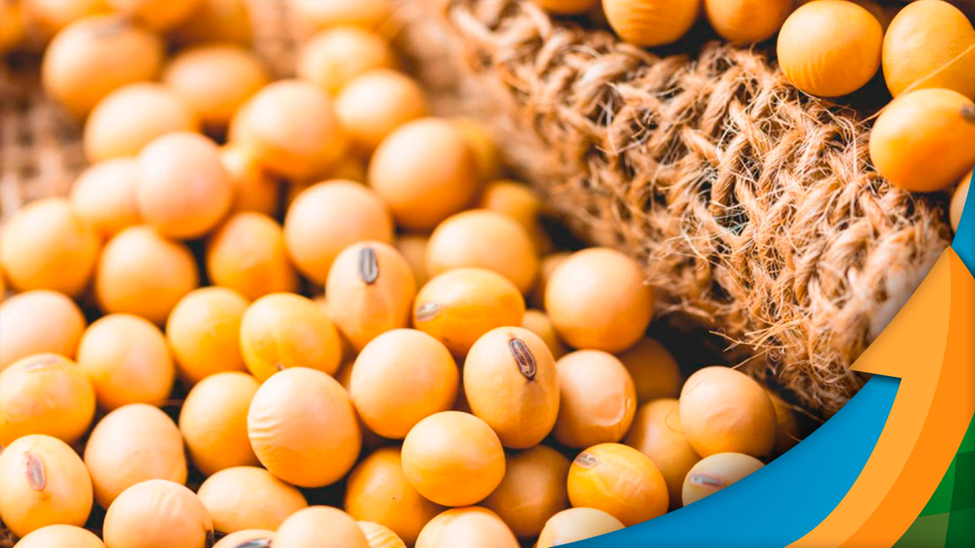 Soja volta a ganhar fôlego em Chicago com reta final da colheita nos ...