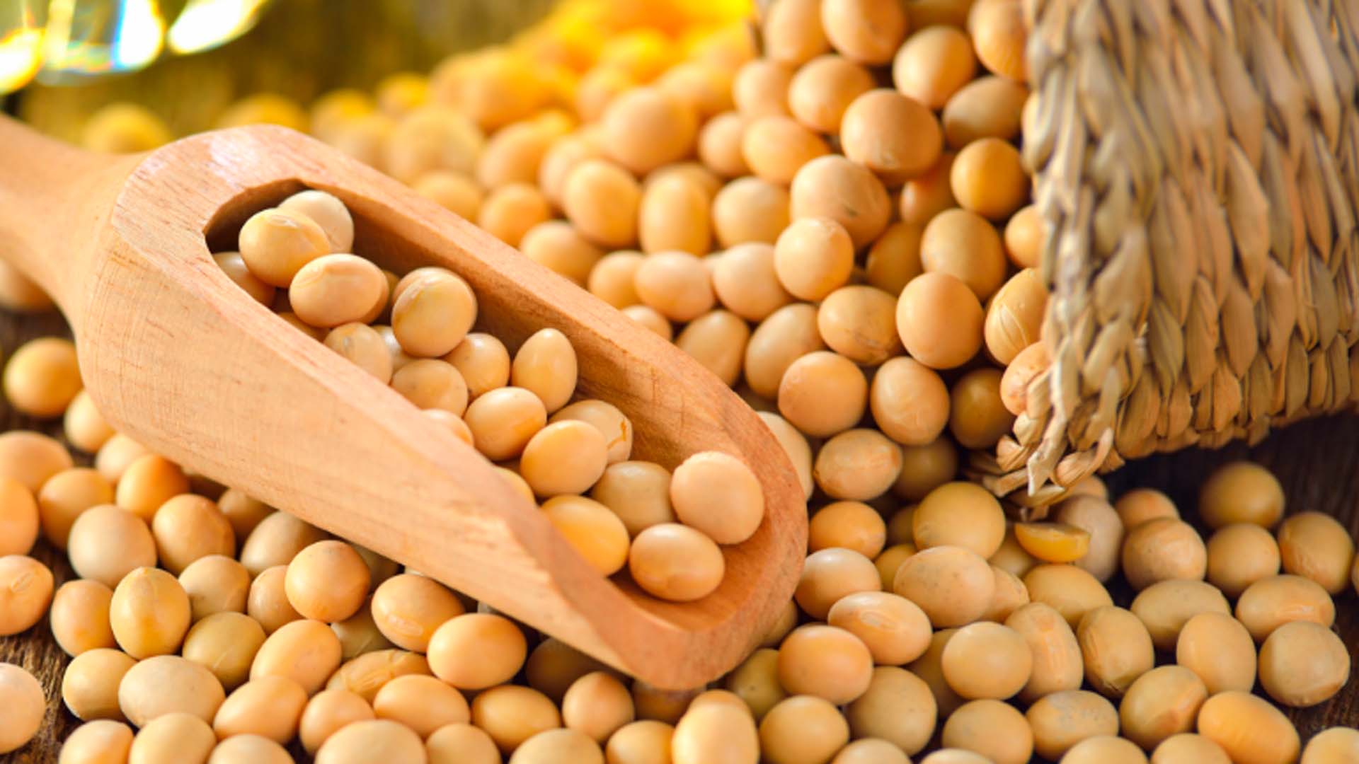 Sem novidades nos fundamentos, mercado da soja em Chicago encerra ...