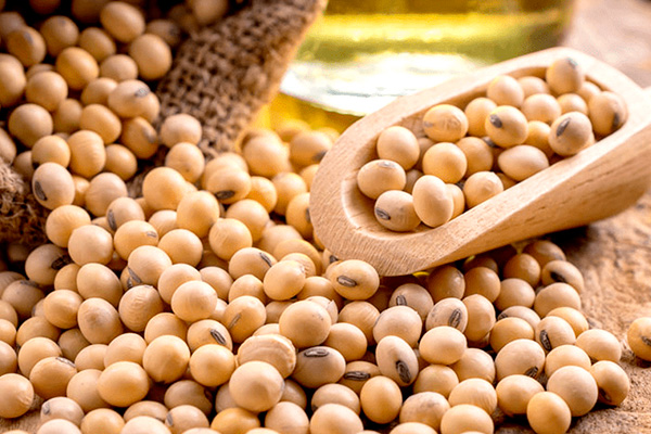 Soja volta a subir em Chicago nesta 6ª feira ainda refletindo novos ...