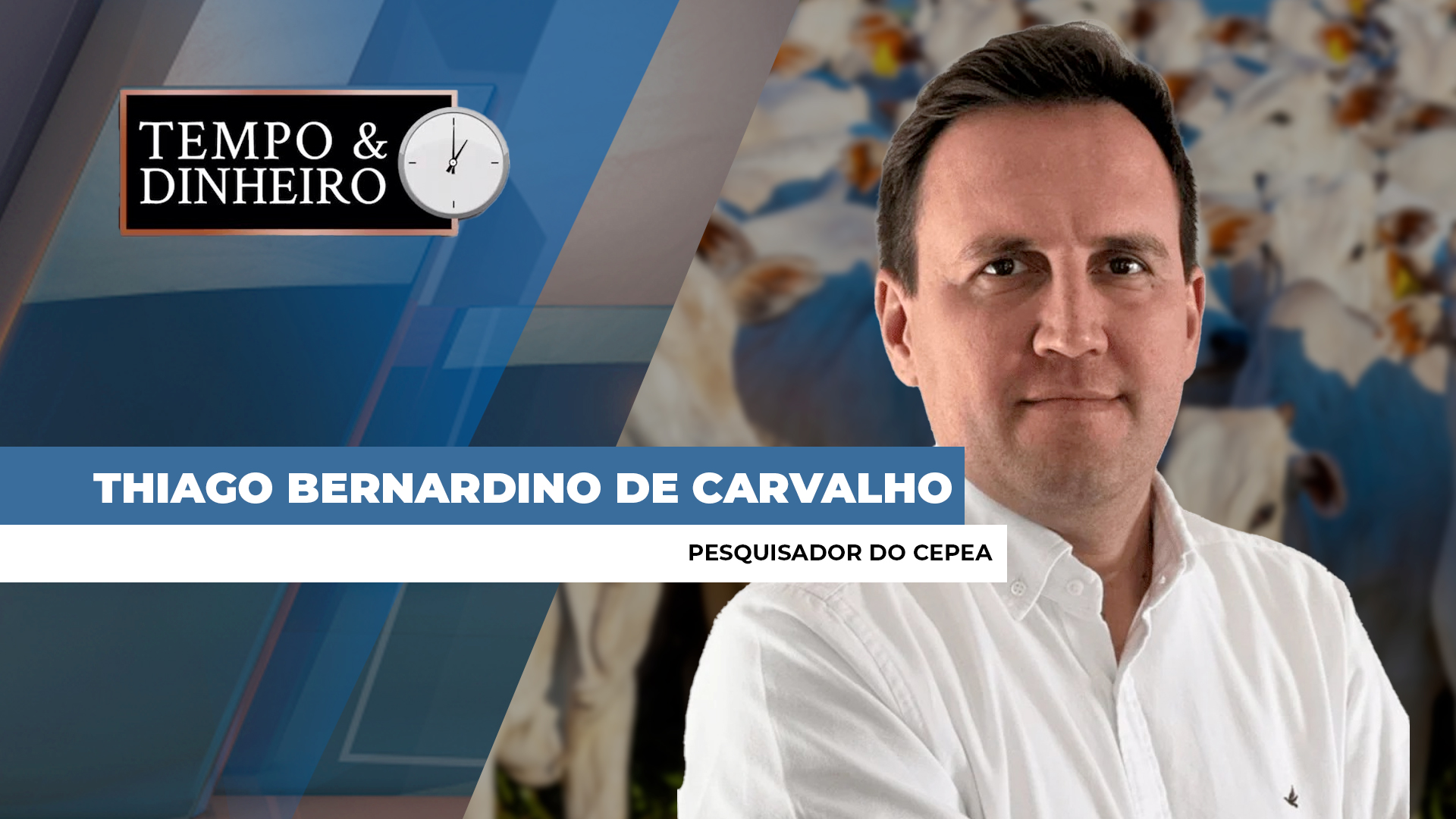 Boi gordo encerra abril em queda no mercado físico e na B3 , informa Thiago... - Notícias Agrícolas