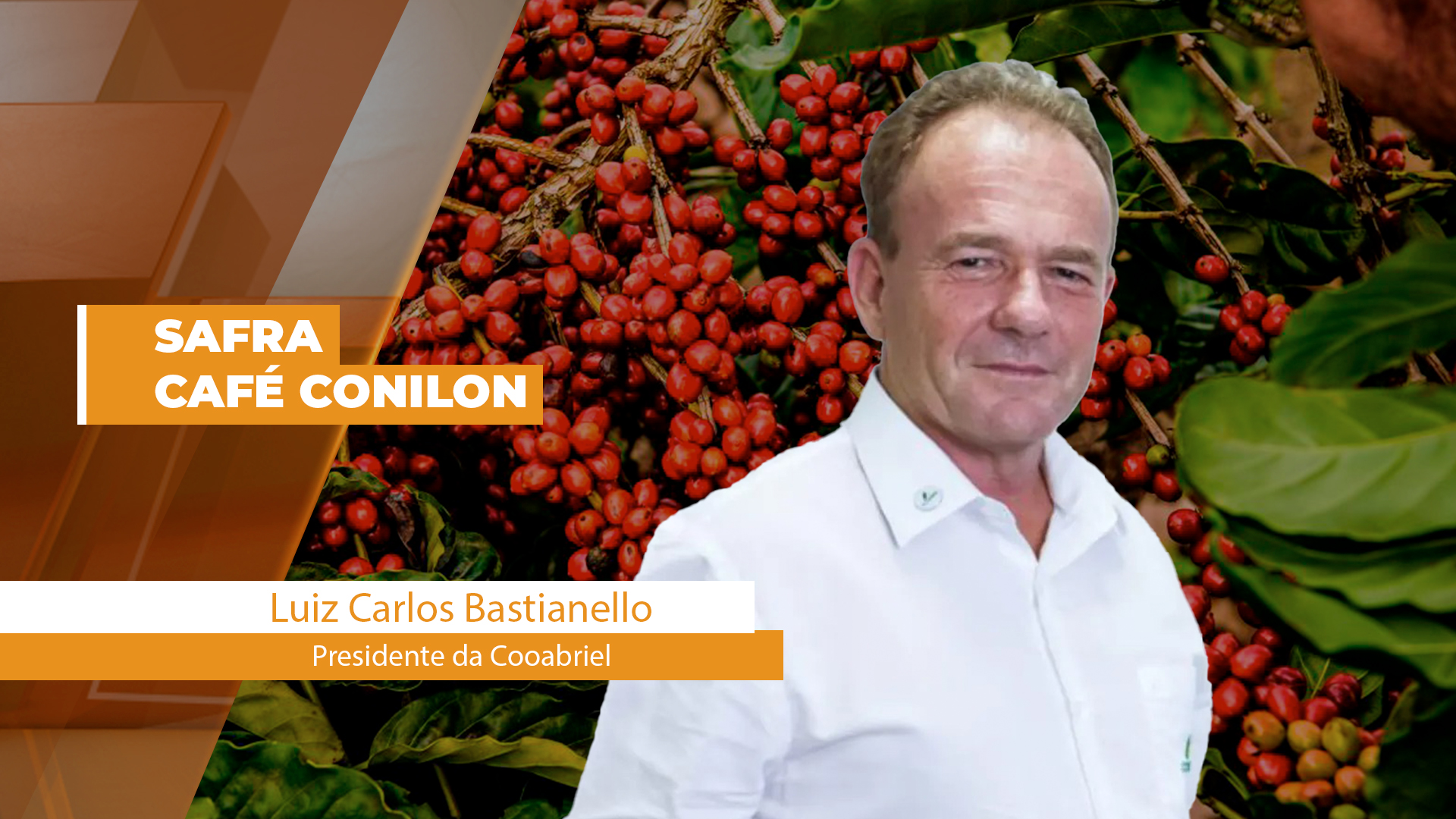 Cooabriel fala sobre a expectativa da safra do café conilon para o ...
