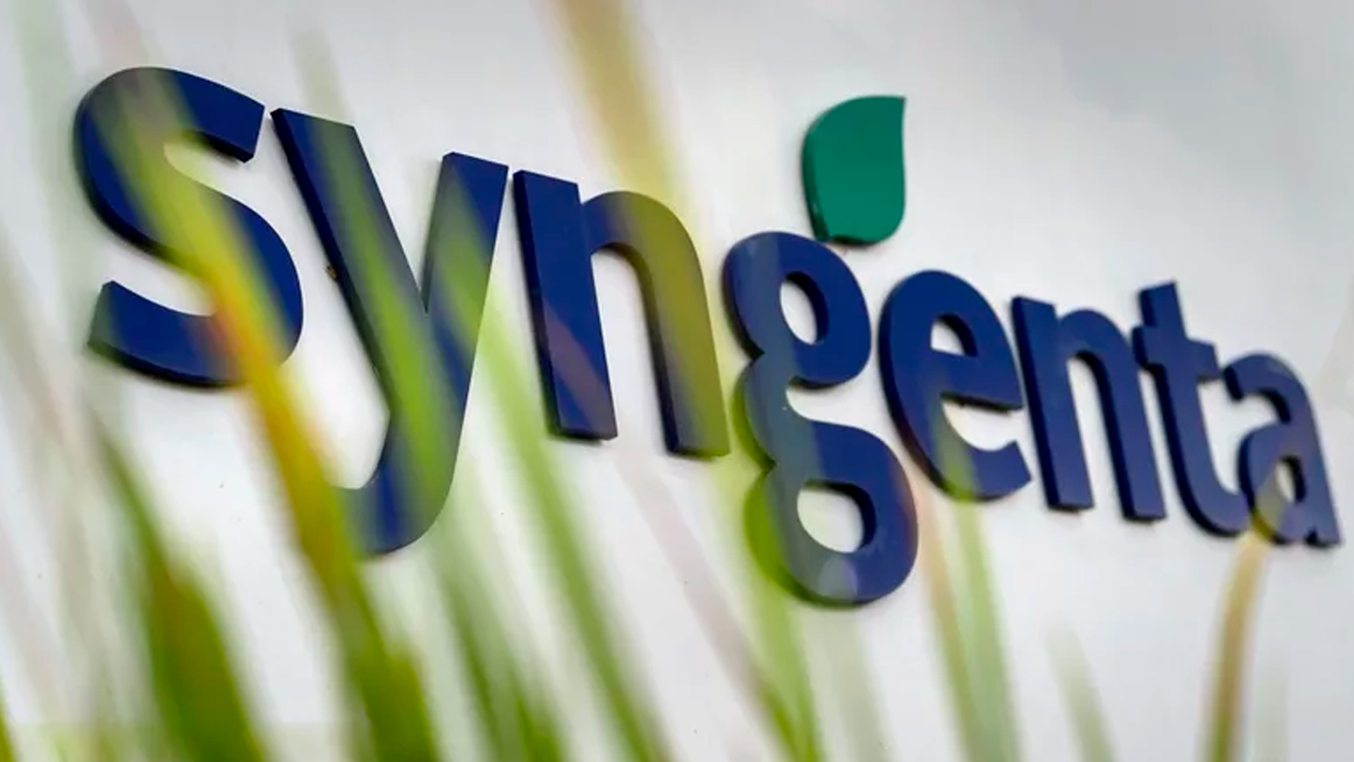 Syngenta registra nova molécula capaz de beneficiar mais de 30 cultivos ...