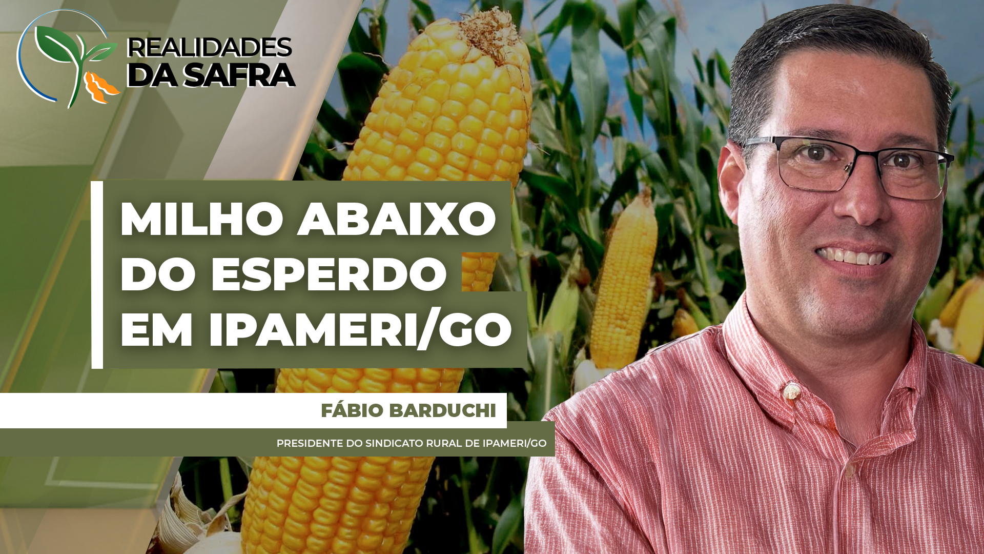 Colheita do milho começa com produtividades abaixo do esperado em ...